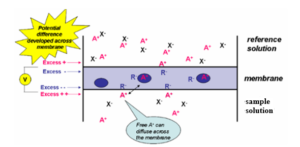 Ion Selective Electrode - AlpHa Measure