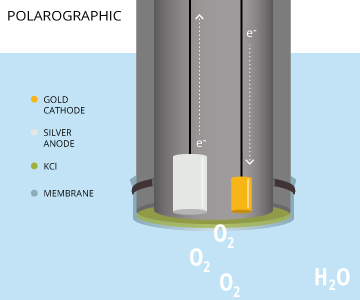 Polarographic vs Galvanic vs Optical DO Sensor - AlpHa Measure